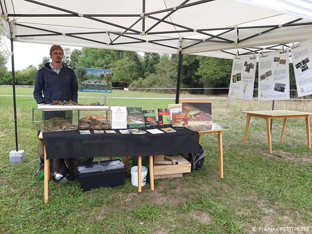 Animation / sensibilisation | BUFO – Association pour l'étude et la ...